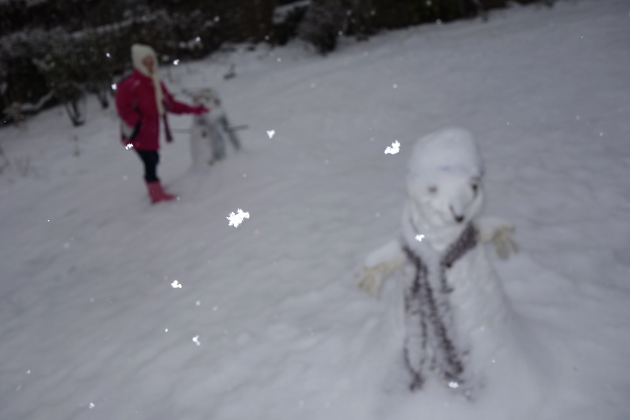 Bob the Snowman - Simon Roberts