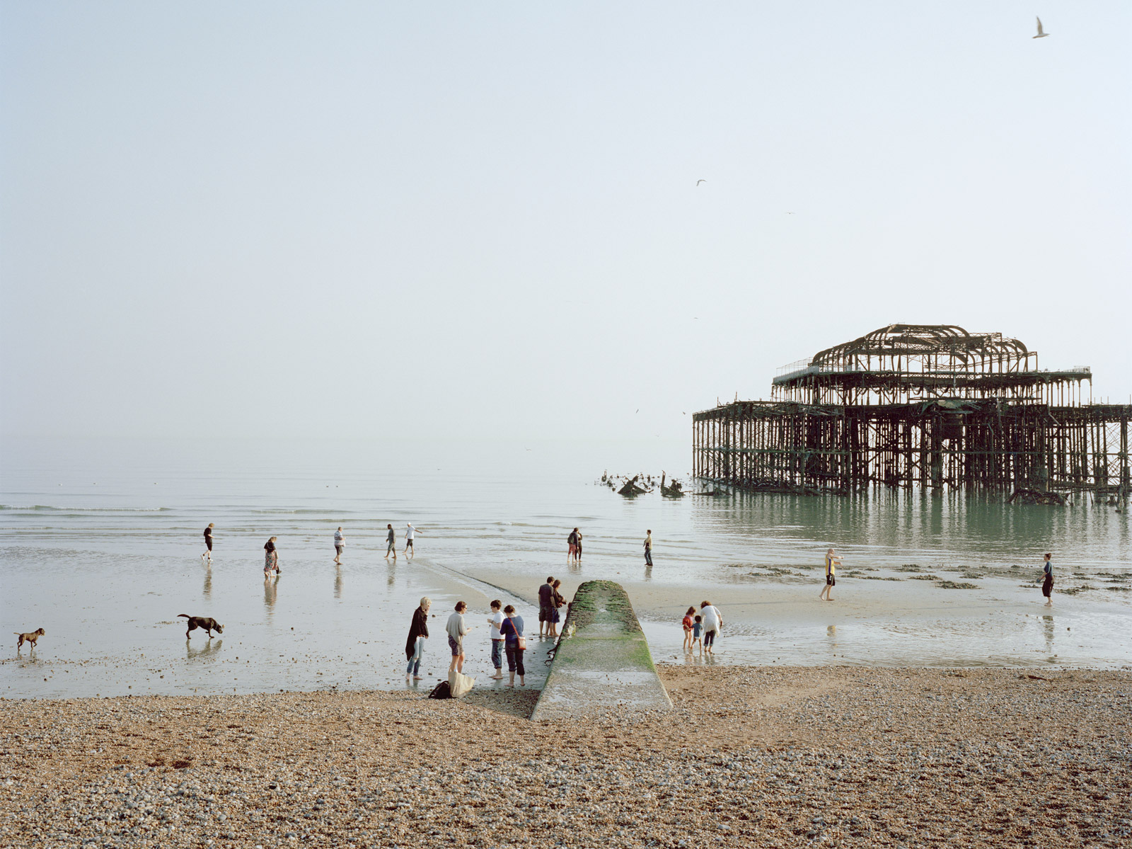 Brighton West Pier, Hood Museum - Simon Roberts