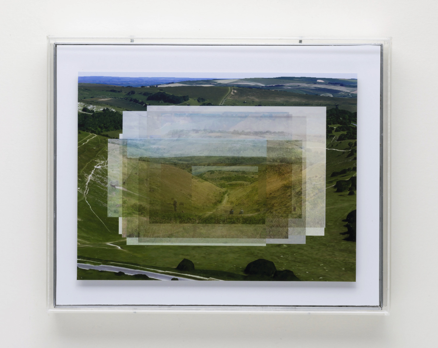 Small is Beautiful, Flowers Gallery - Simon Roberts